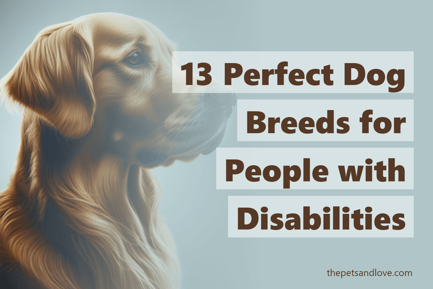 13 Perfect Dog Breeds for People with Disabilities