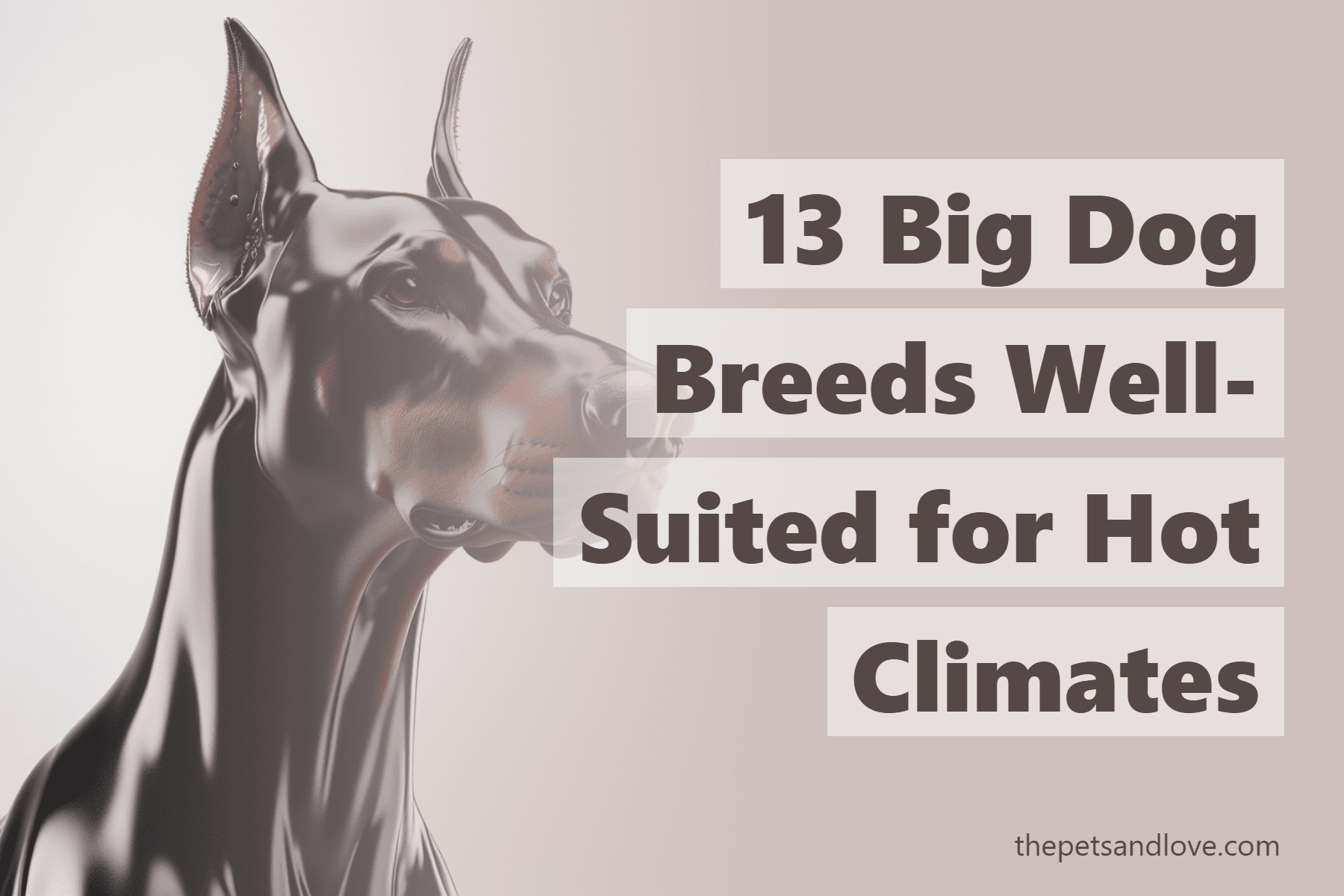 13 Big Dog Breeds Well-Suited for Hot Climates
