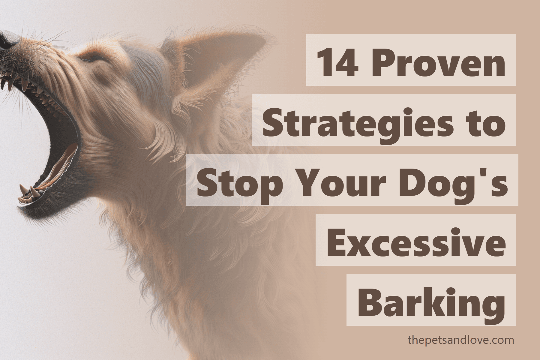 14 Proven Strategies to Stop Your Dog's Excessive Barking