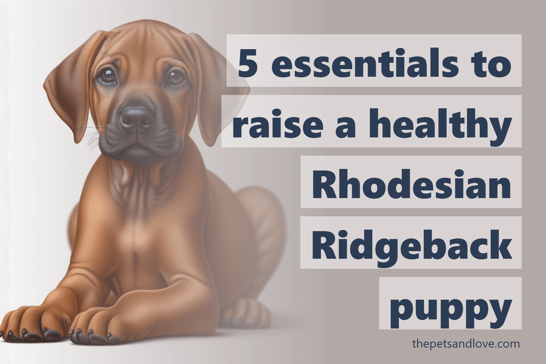 5 essentials to raise a healthy Rhodesian Ridgeback puppy