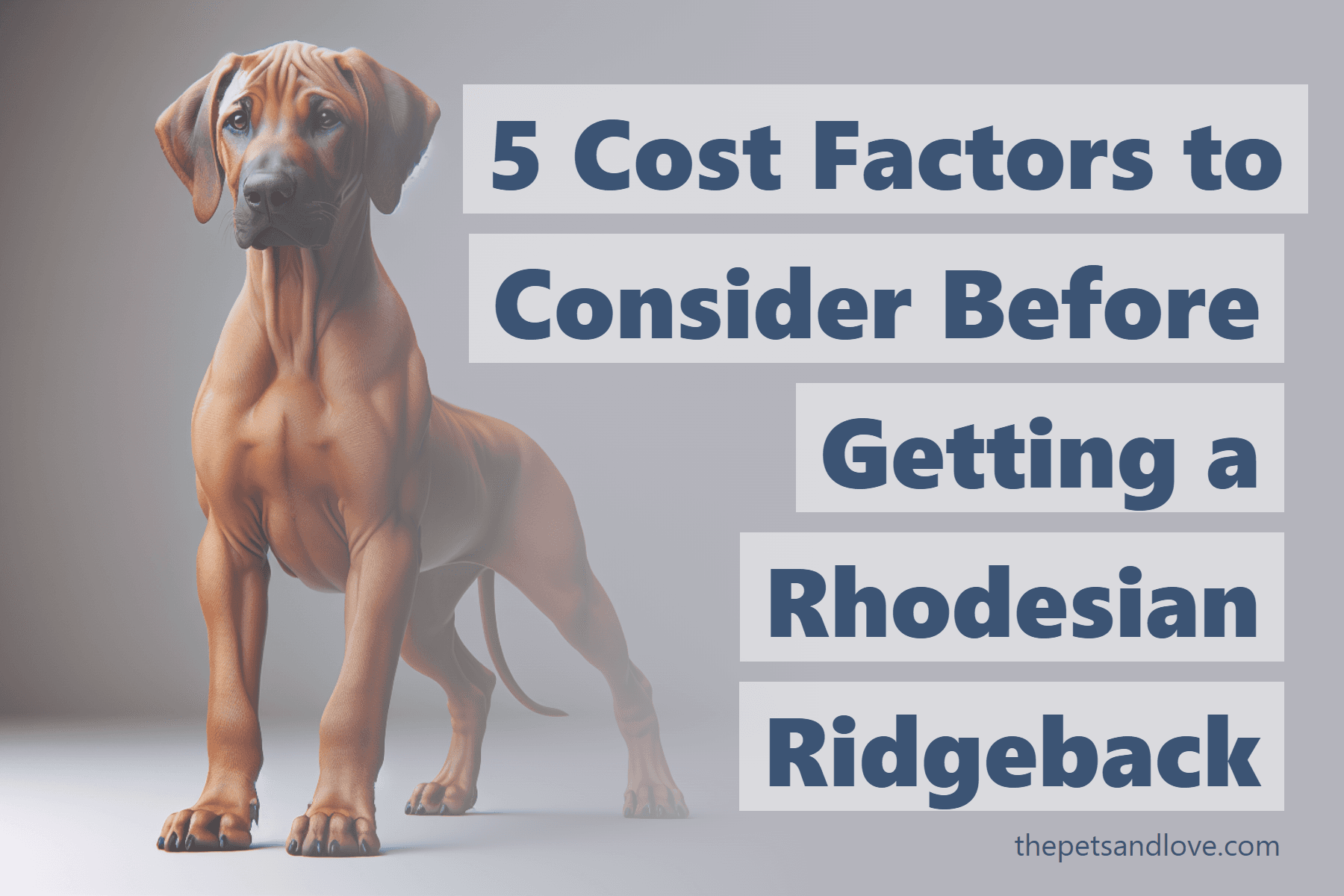 5 Cost Factors to Consider Before Getting a Rhodesian Ridgeback
