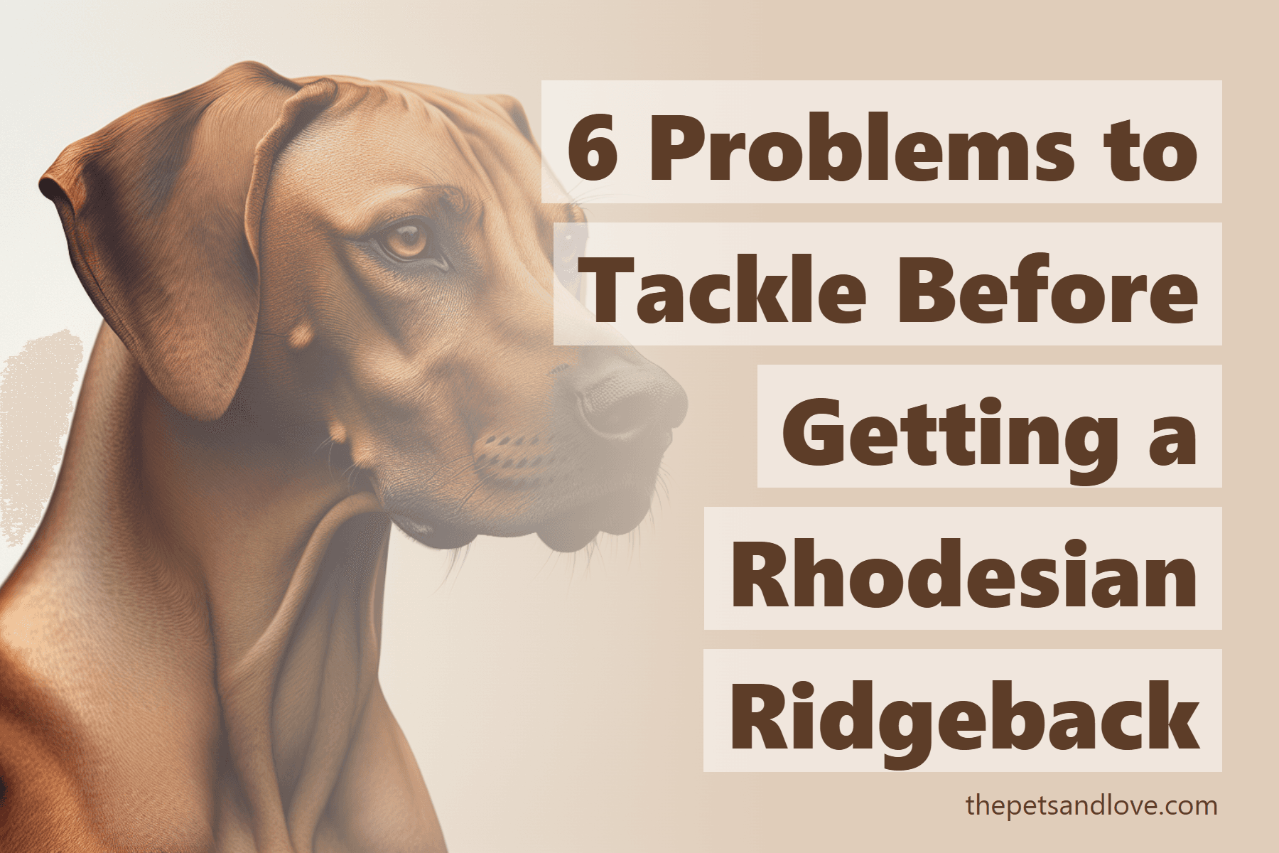 6 Problems to Tackle Before Getting a Rhodesian Ridgeback