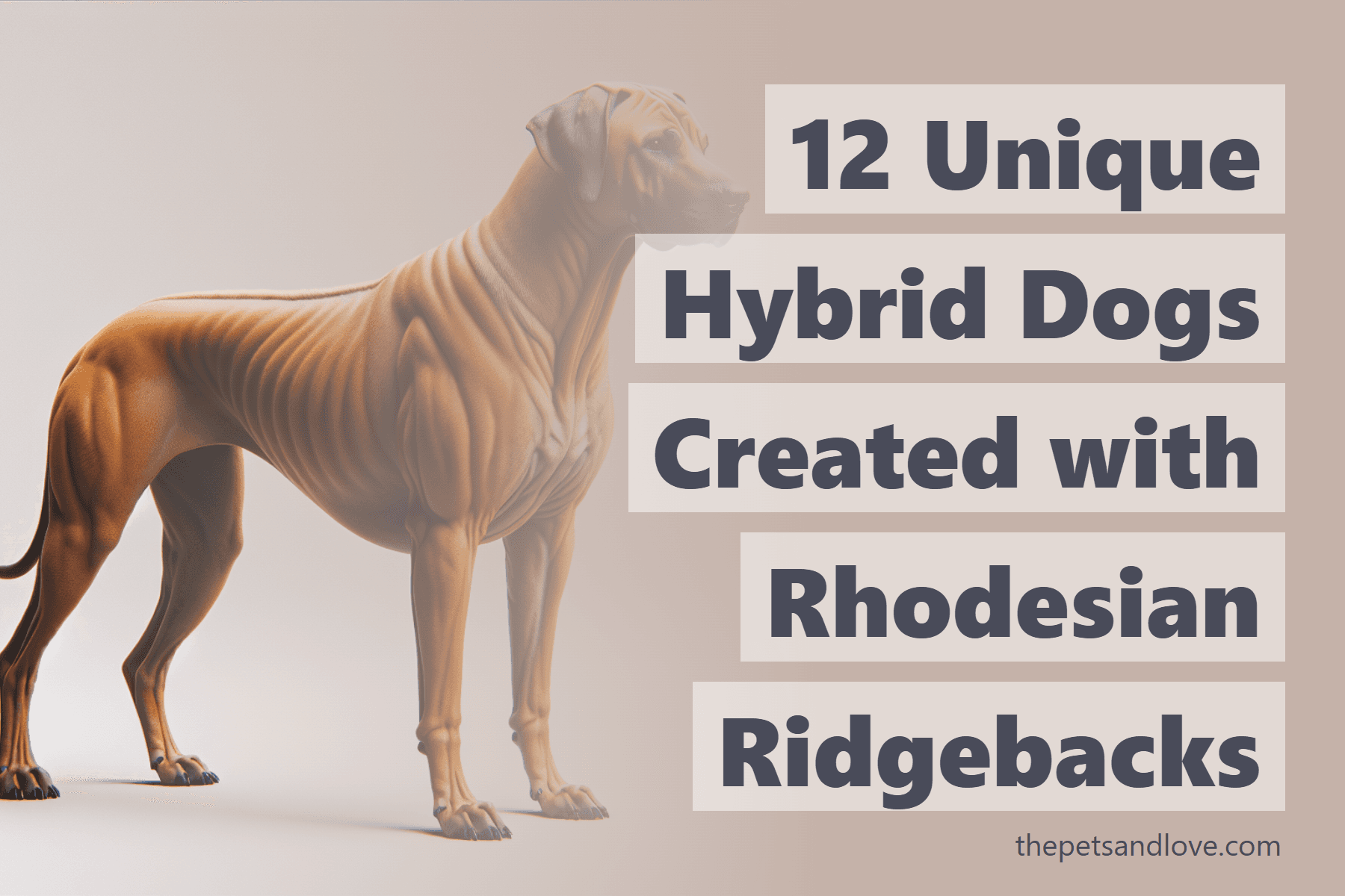 12 Unique Hybrid Dogs Created with Rhodesian Ridgebacks