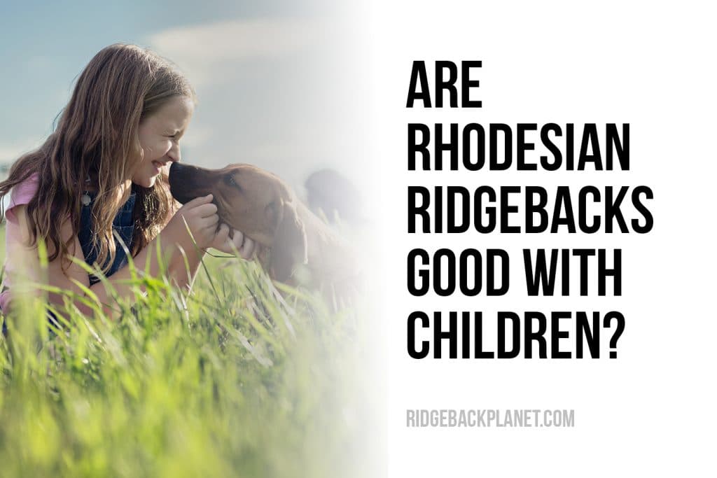 Is the Rhodesian Ridgeback a Good Family Dog for Kids?