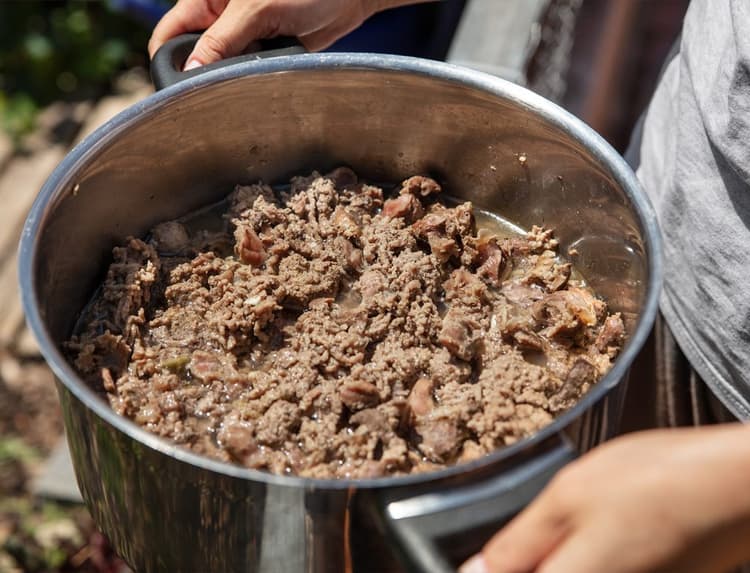 What to Expect in Your First Year with a Rhodesian Ridgeback