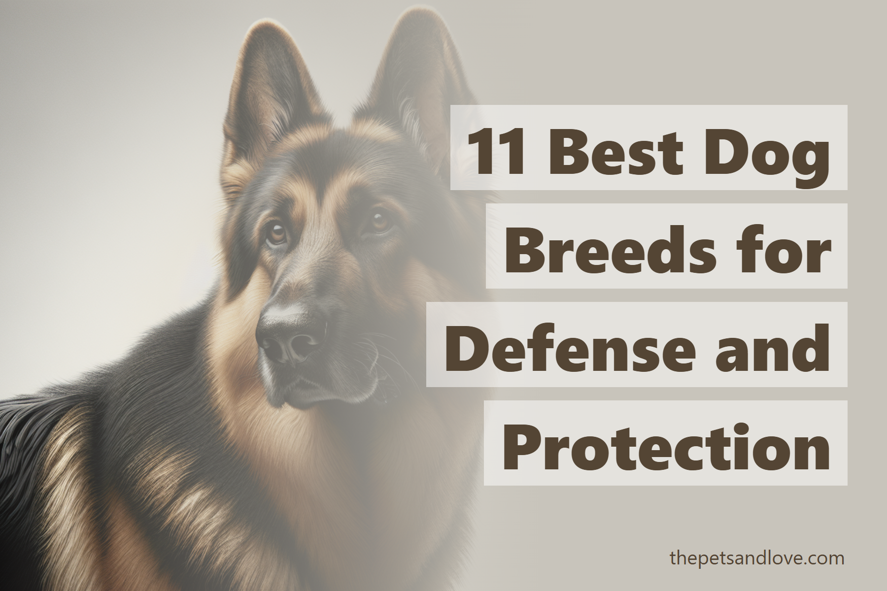 11 Best Dog Breeds for Defense and Protection