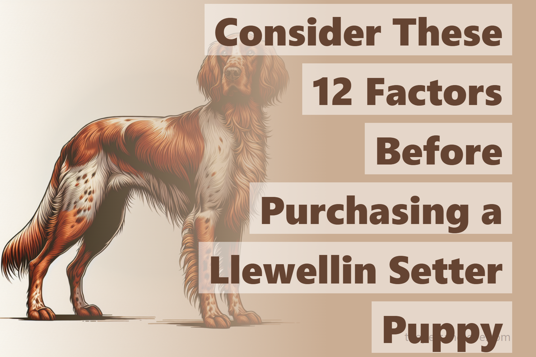 Consider These 12 Factors Before Purchasing a Llewellin Setter Puppy