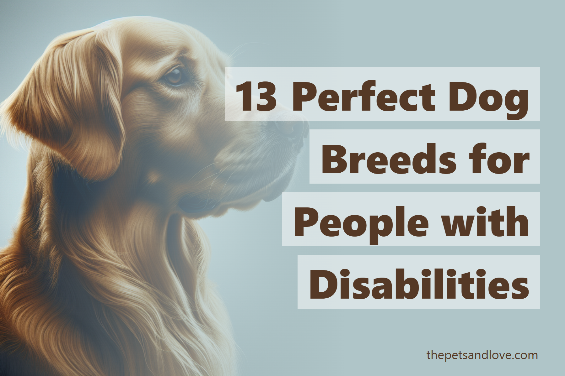 13 Perfect Dog Breeds for People with Disabilities