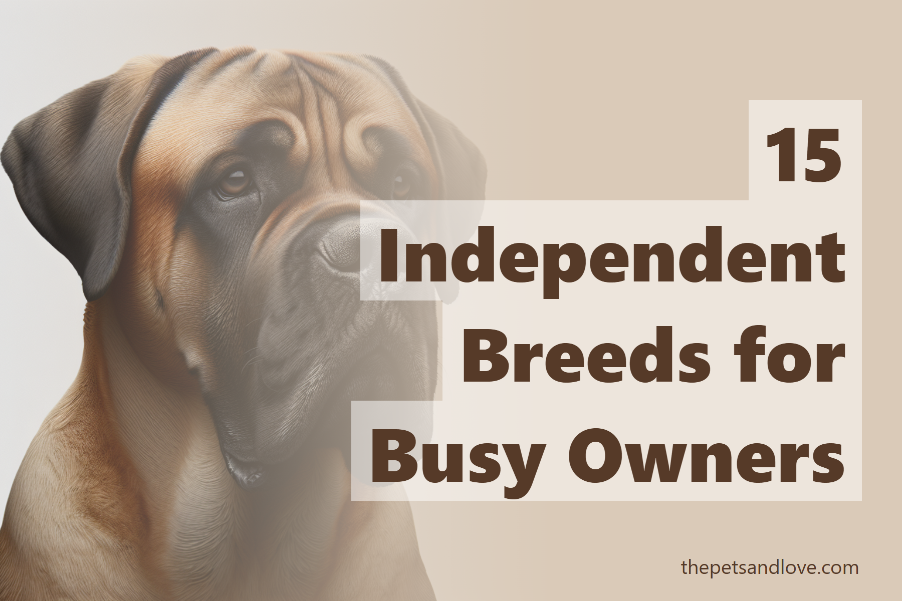 15 Independent Breeds for Busy Owners