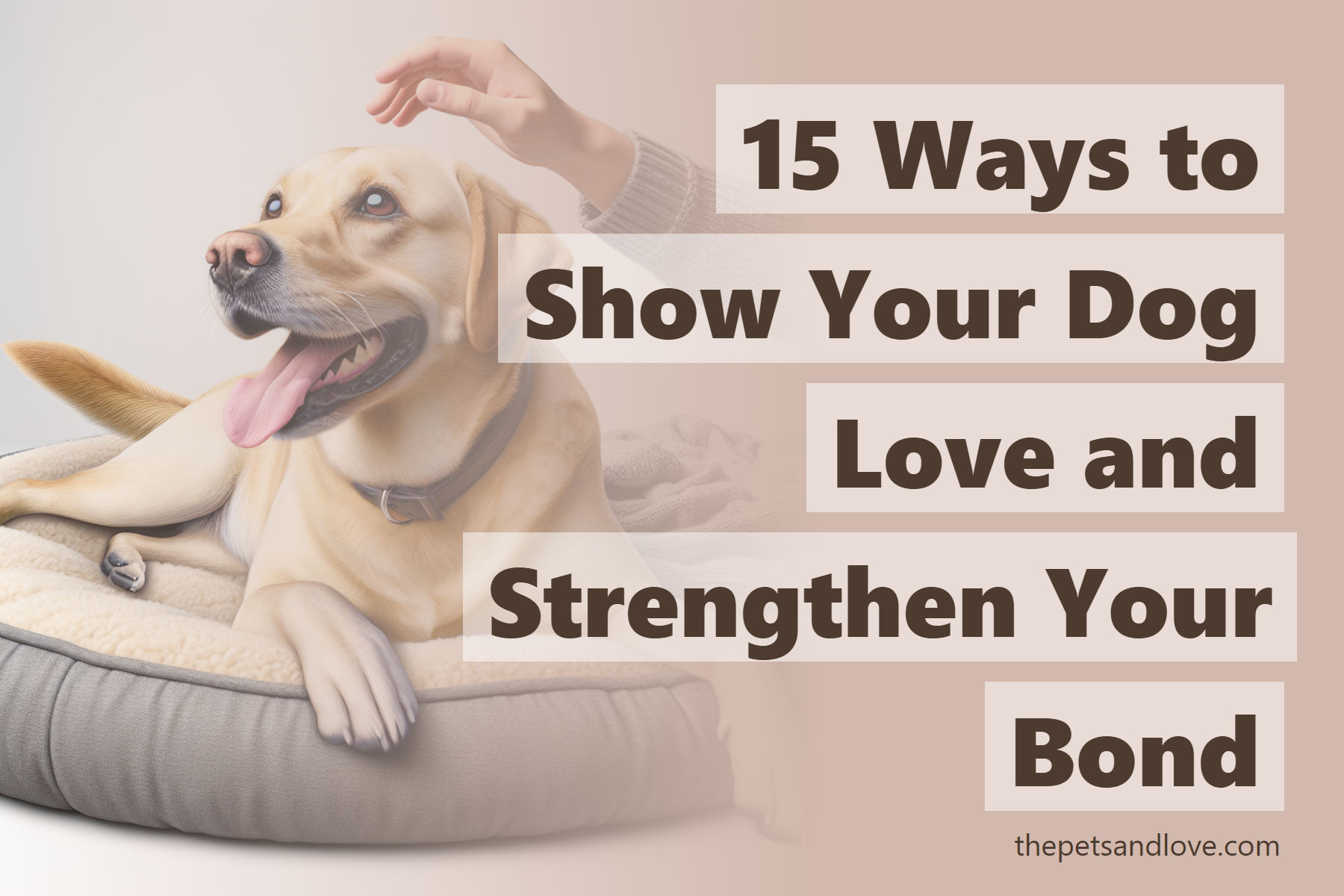 15 Ways to Show Your Dog Love and Strengthen Your Bond
