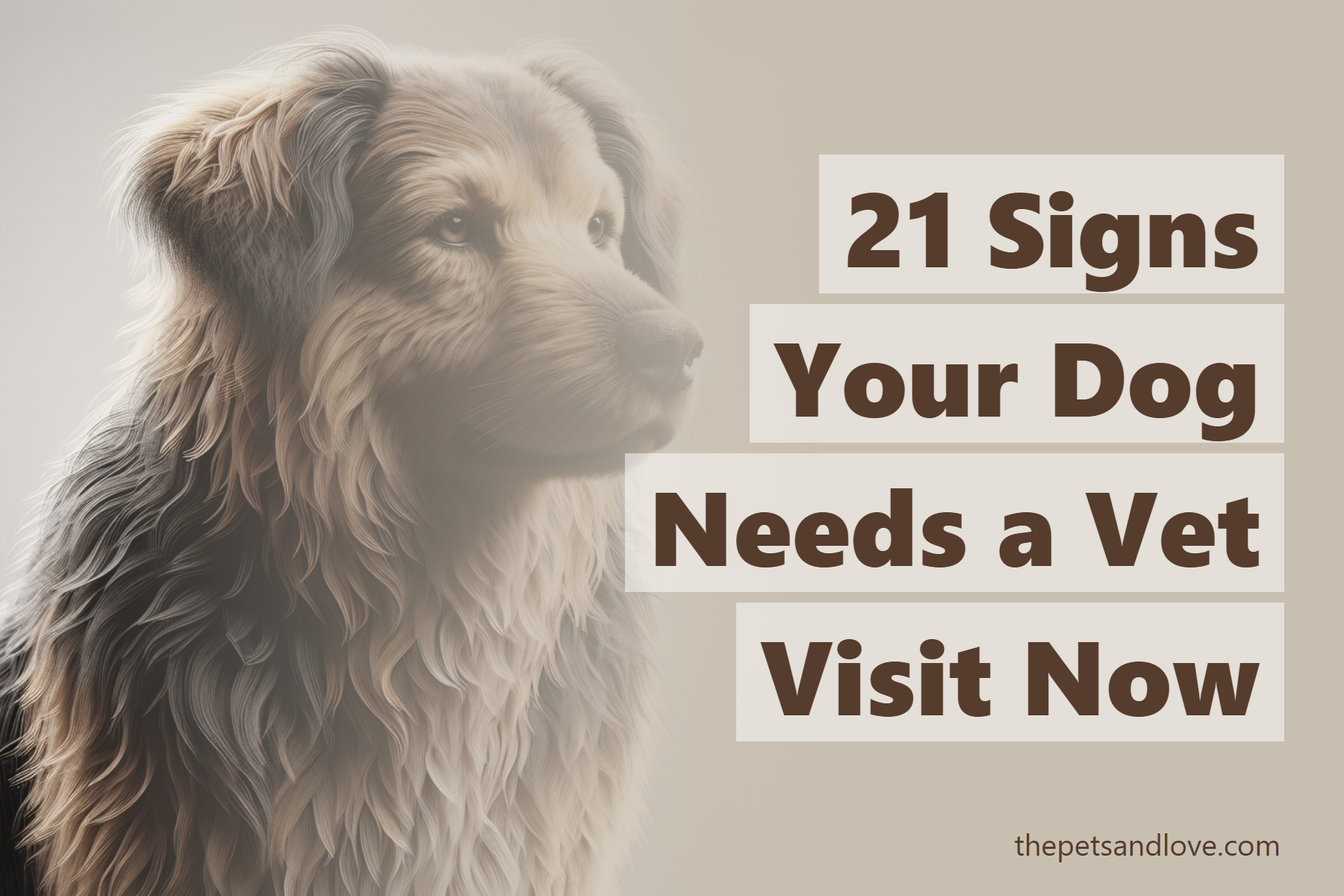 21 Signs Your Dog Needs a Vet Visit Now