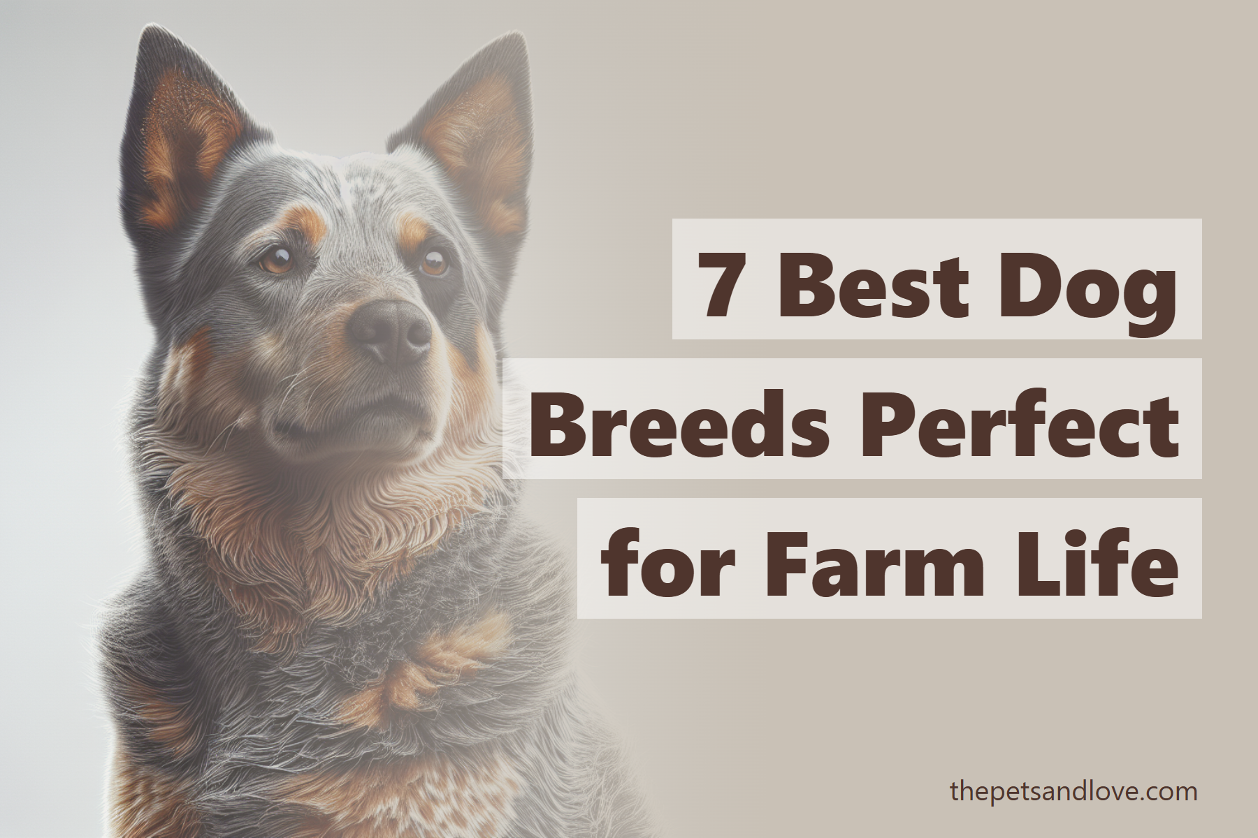 5 Best Dog Breeds for Farm Life