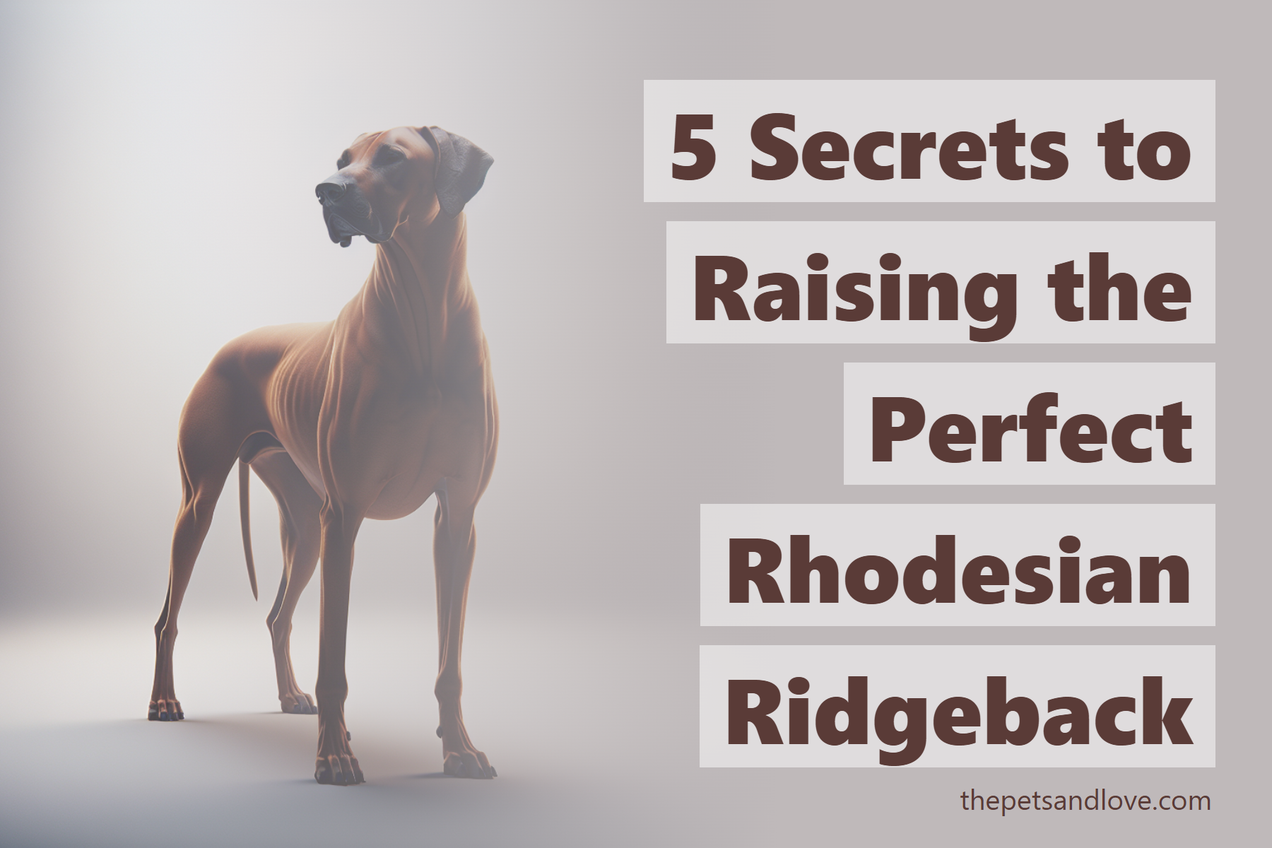 5 Secrets to Raising the Perfect Rhodesian Ridgeback