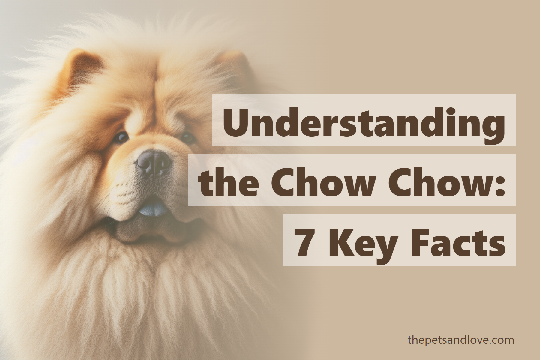 Understanding the Chow Chow: 7 Key Facts