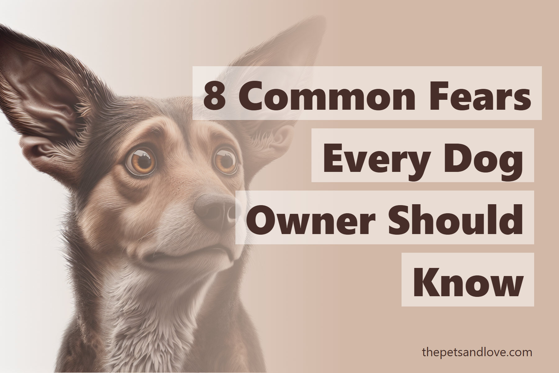 8 Common Fears Every Dog Owner Should Know