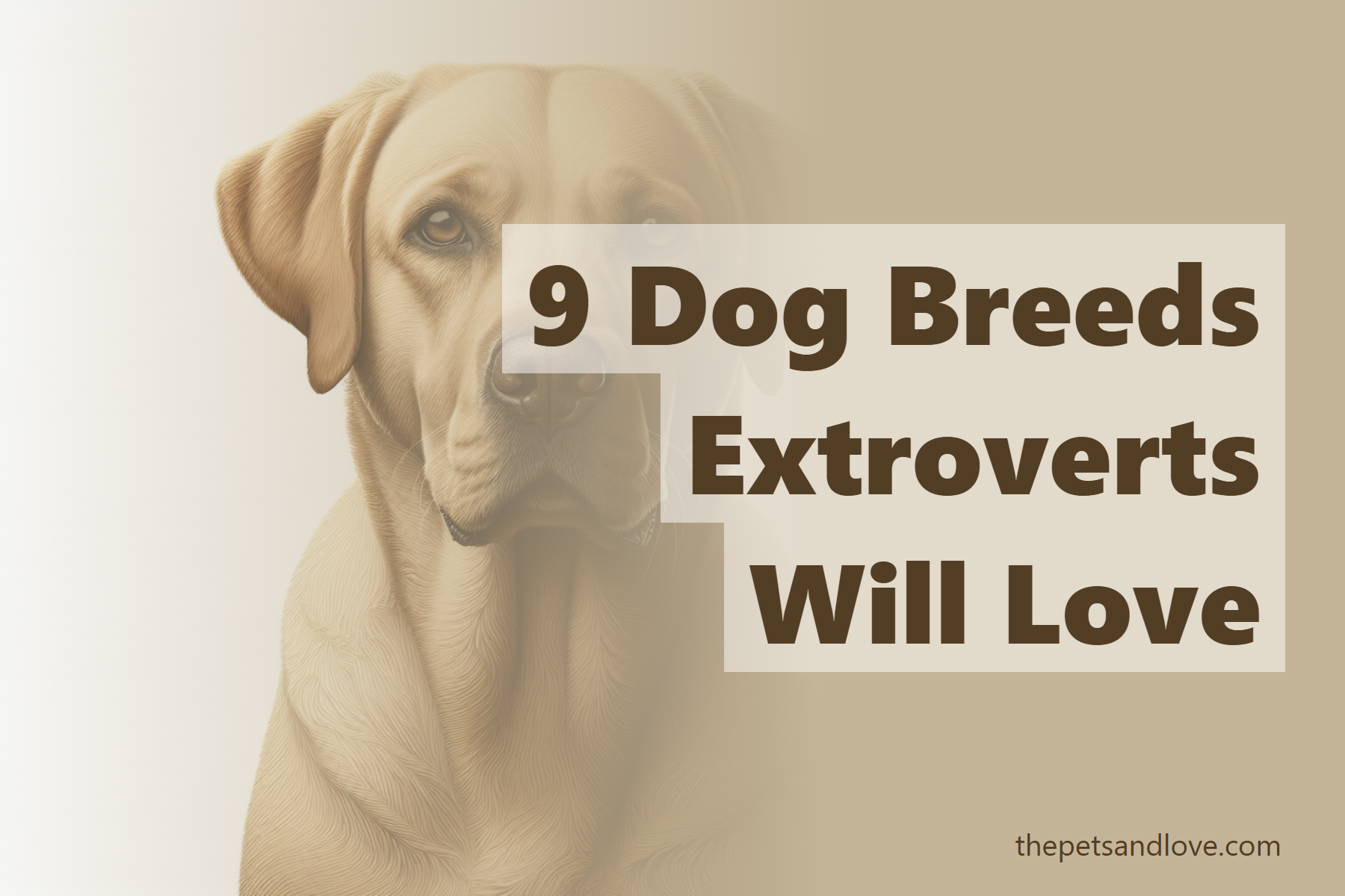 9 Dog Breeds Extroverts Will Love
