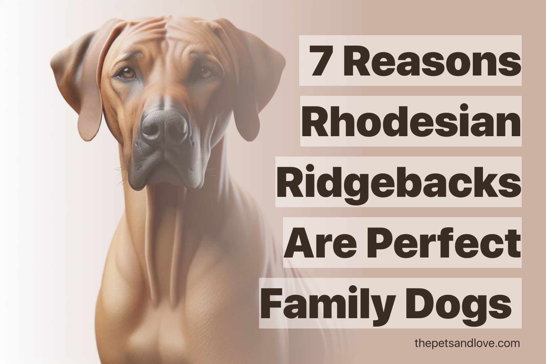 Is the Rhodesian Ridgeback a Good Family Dog?