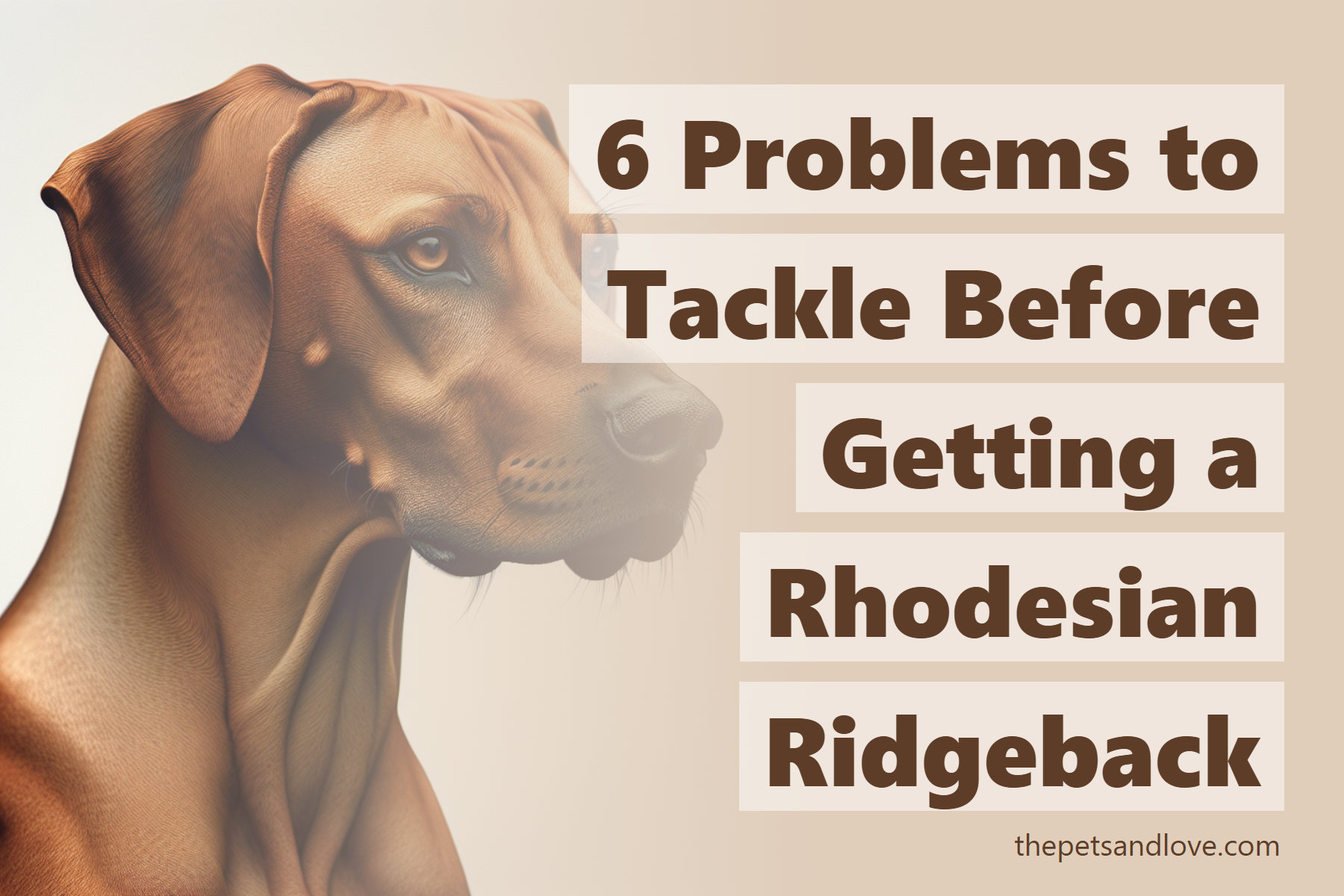 6 Problems to Tackle Before Getting a Rhodesian Ridgeback
