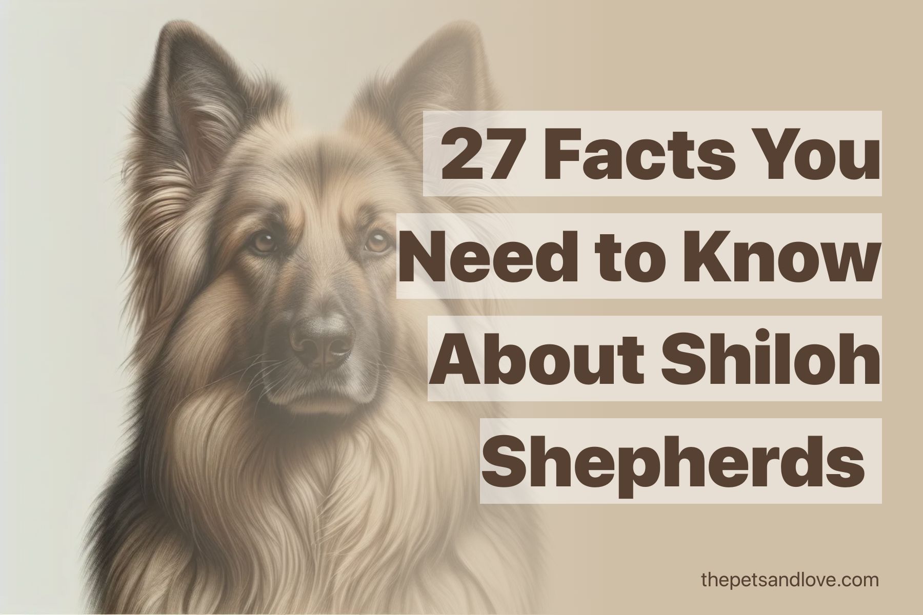 What to Know Before Getting a Shiloh Shepherd: 27 Essential Considerations