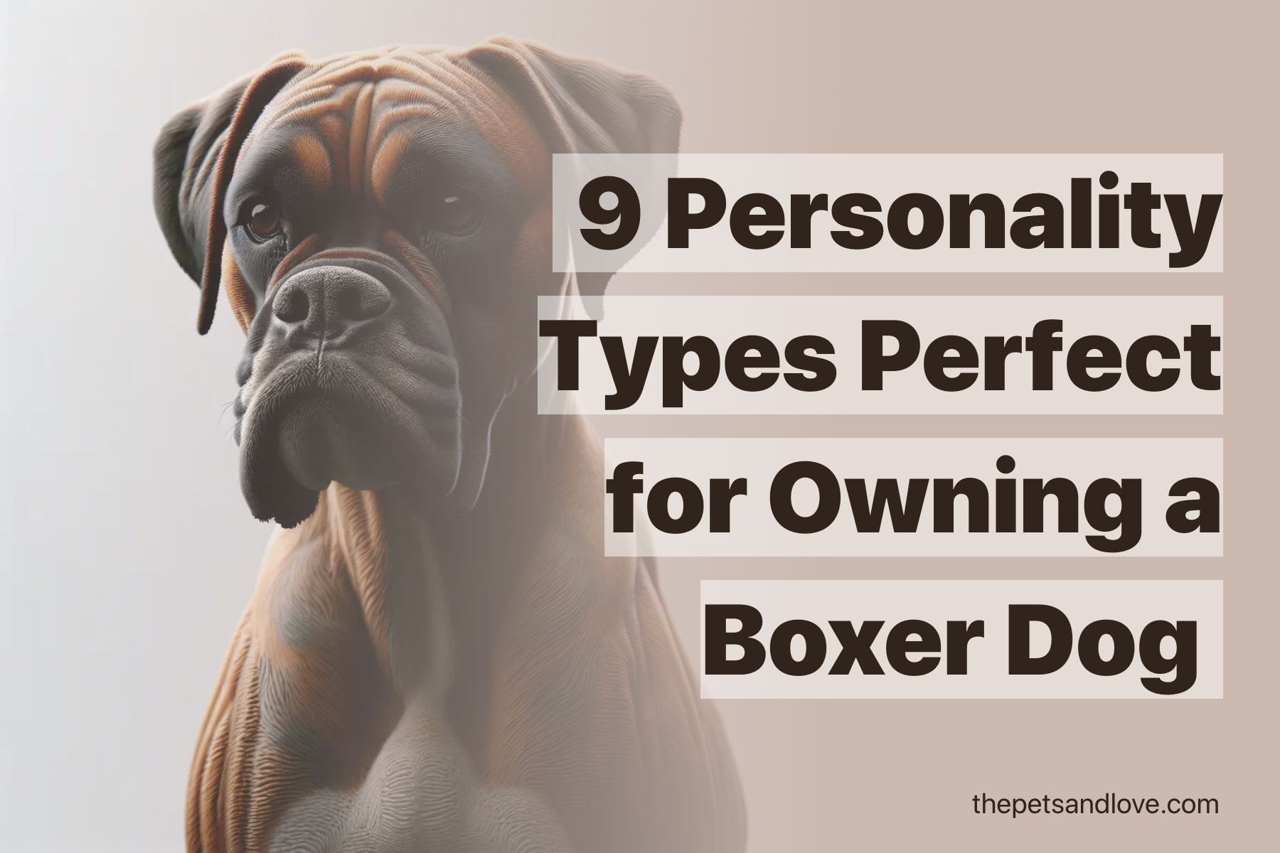 Nine Kinds of People Who Would Enjoy Having a Boxer Dog