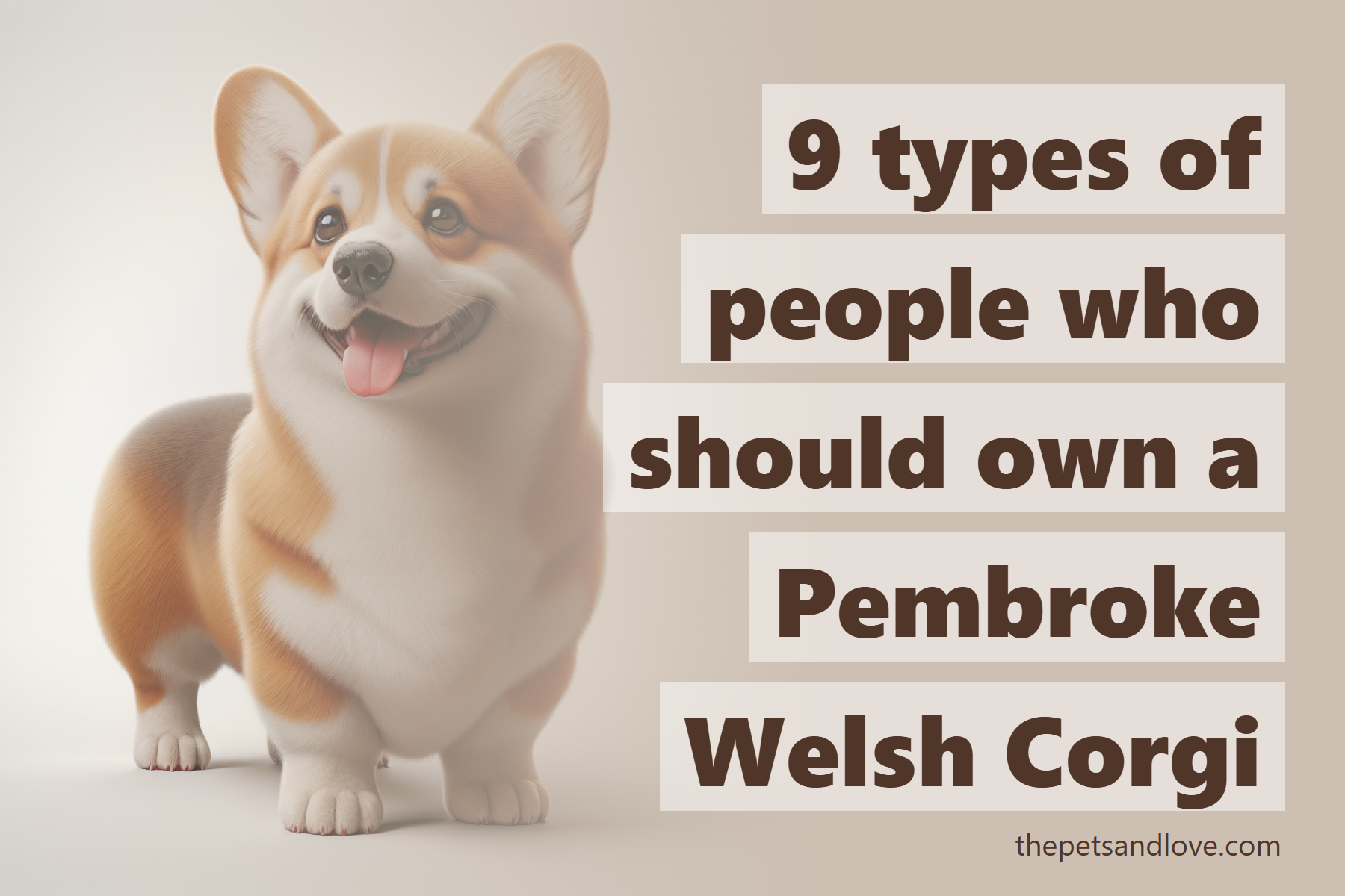 9 types of people who should own a Pembroke Welsh Corgi