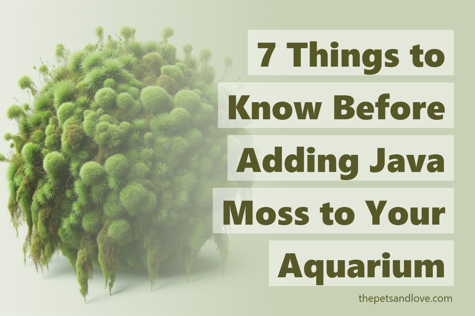 7 Things to Know Before Adding Java Moss to Your Aquarium