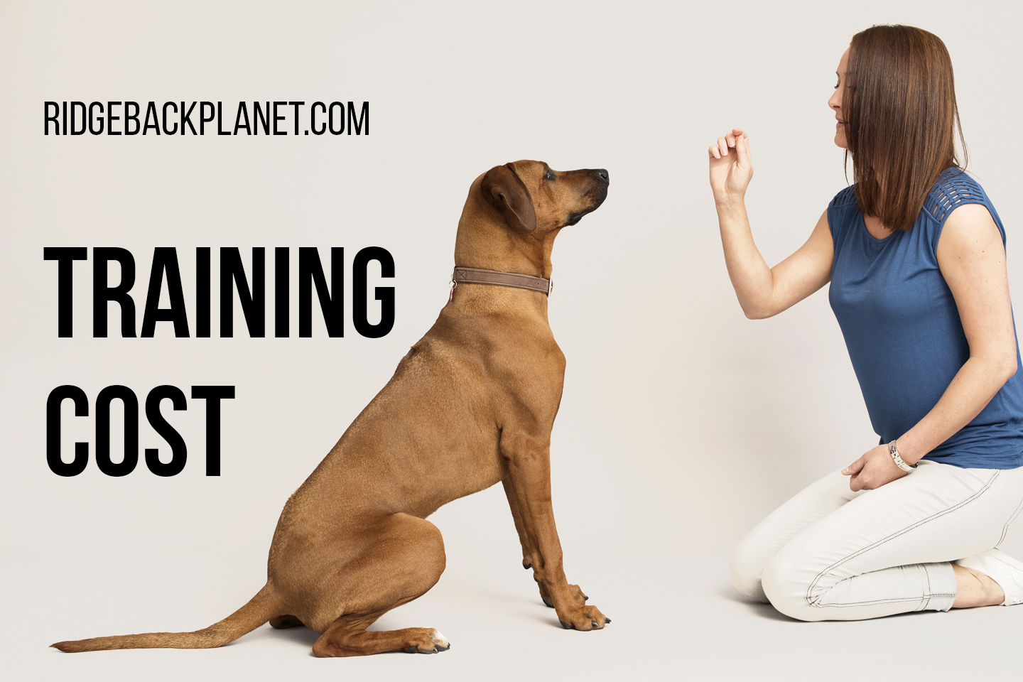 Rhodesian Ridgeback puppies price. Full List of expenses.