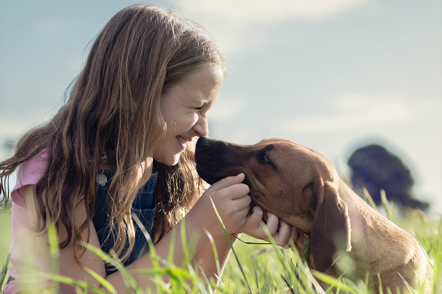 Are Rhodesian Ridgebacks Good With Children? - The Pets and Love