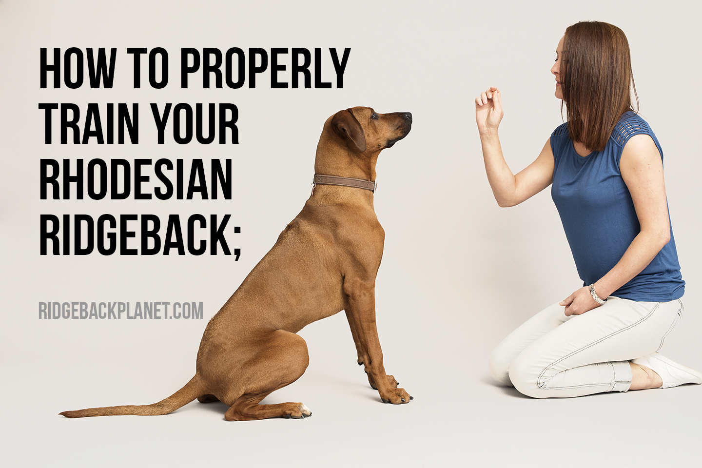 How To Properly Train Your Rhodesian Ridgeback; 10 Most Effective Tips ...