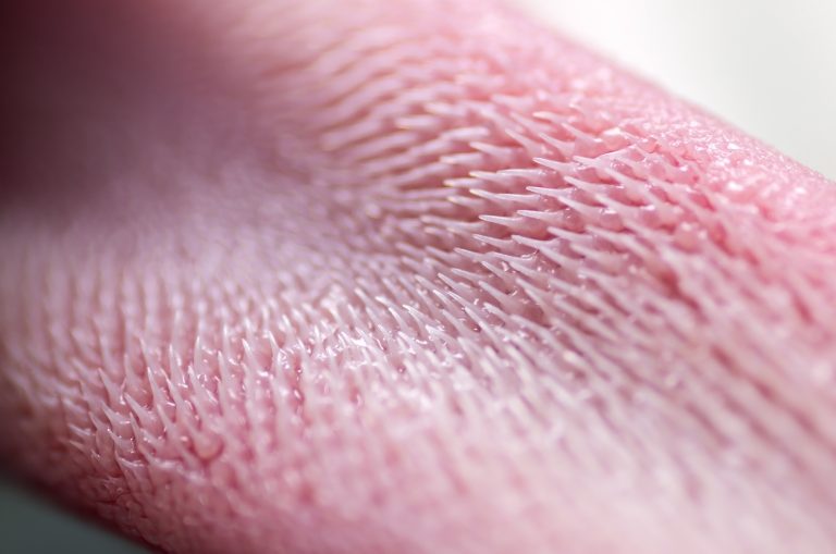 6 Facts You May Not Know About A Cat’s Tongue - The Pets and Love